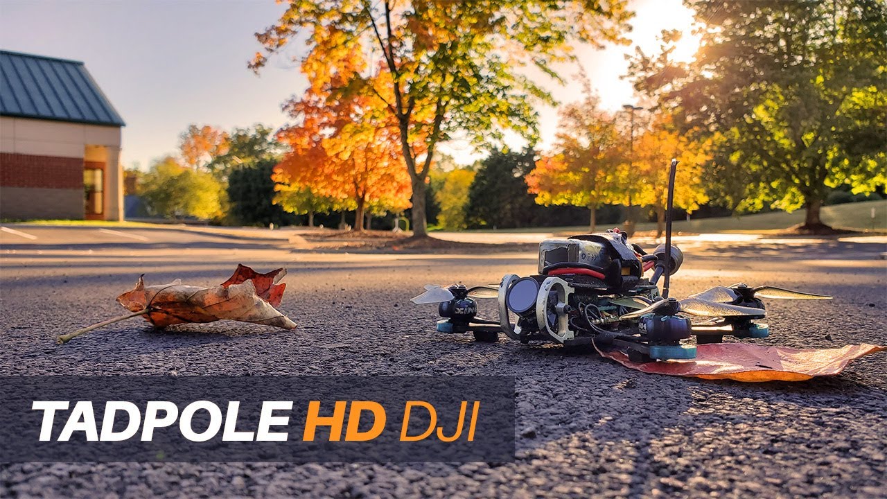 Tadpole HD Fall Freestyle - YouTube