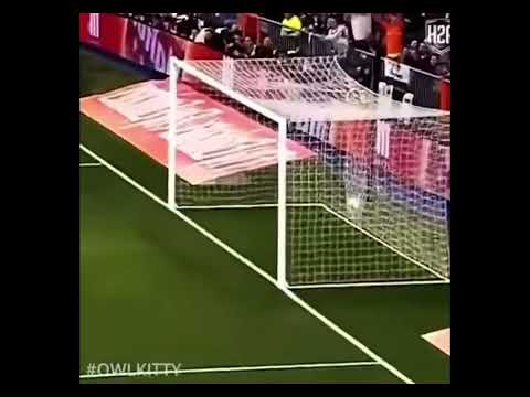 Sahaya girip gol atan kedi