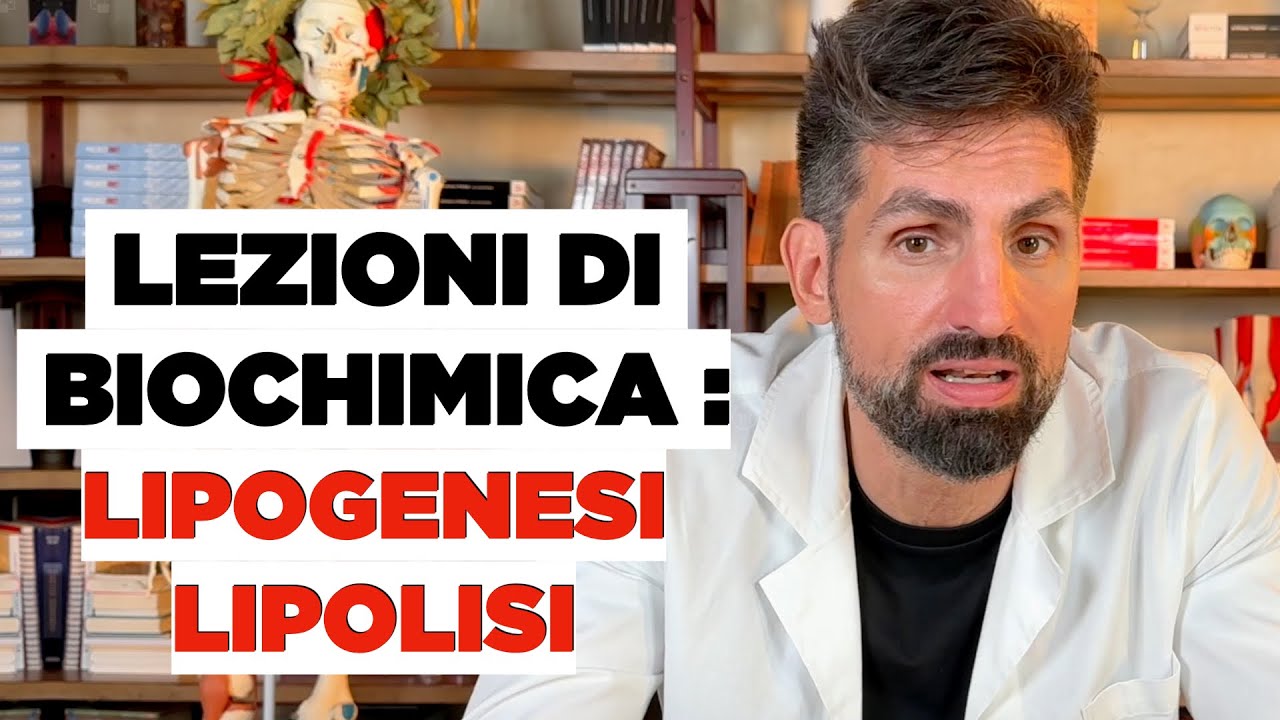 Metabolismo lipidico: lipogenesi e lipolisi - YouTube