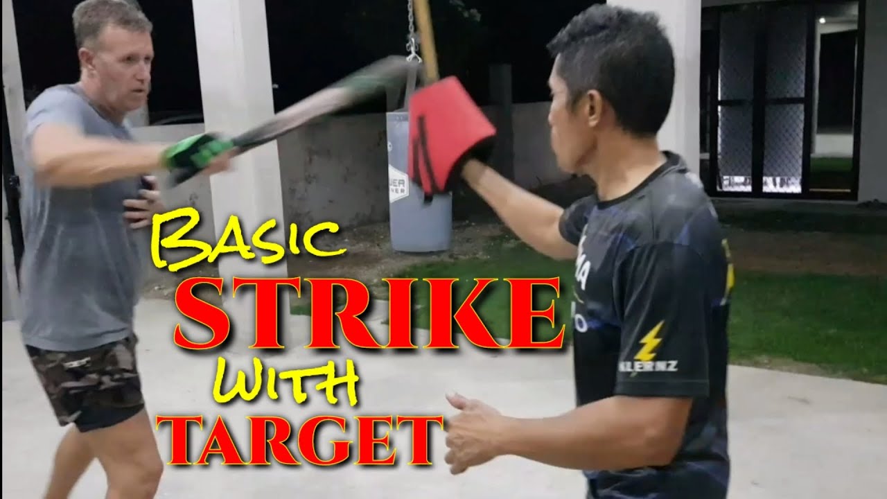 Practicing Basic Strikes With Target (flowing/broken strike) | New ...