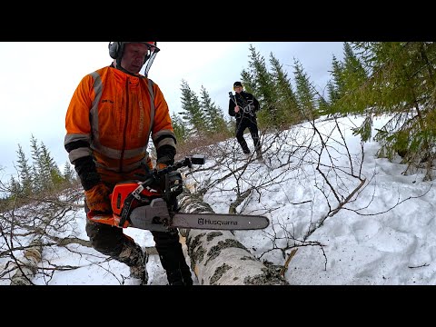 Finnish Lumberjack striimaa livenä! - YouTube