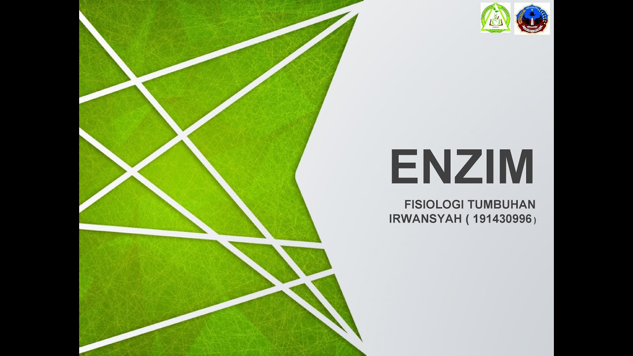 Enzim (fisiologi tumbuhan) - YouTube