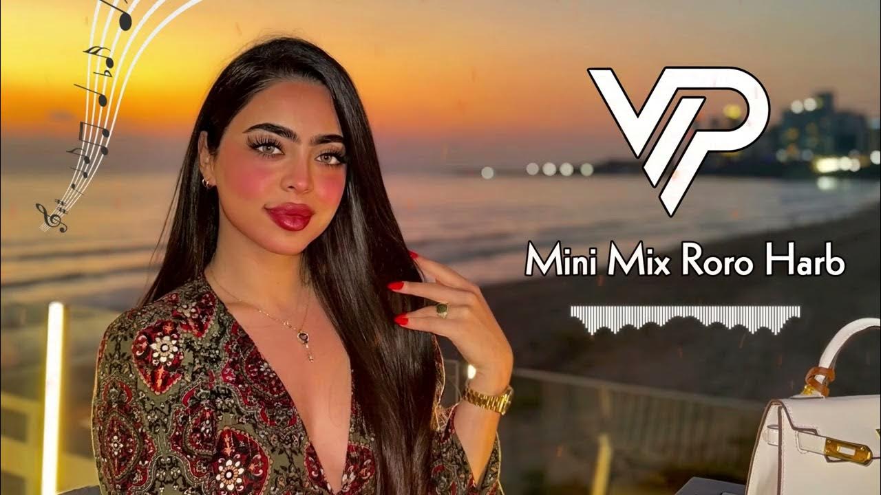 Roro Harb - TikTok Remix | نحنا الشيوخ X ولد سباع - YouTube