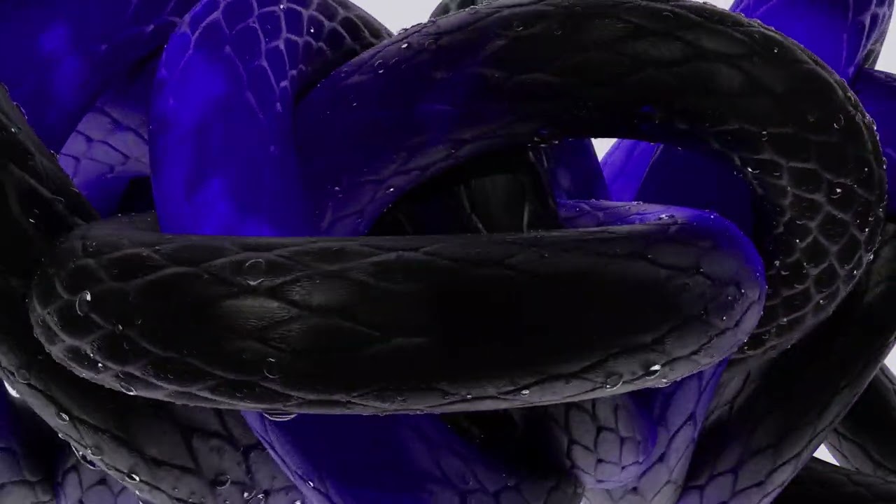 Free Snake Loop HD Purple (☞ ͡° ͜ʖ ͡°)☞ Free loop - YouTube
