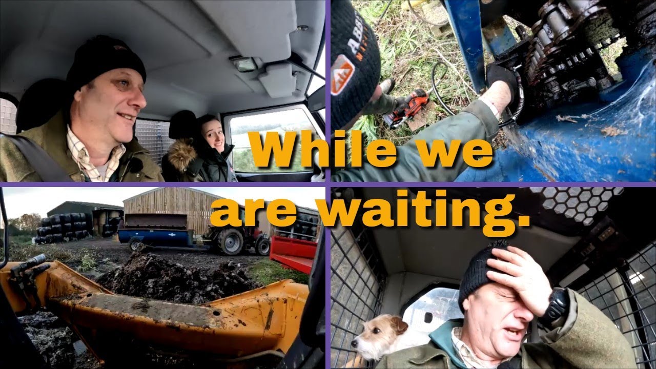 01/12/23 Another dog house, Muck chucker greasing, and waiting for ...