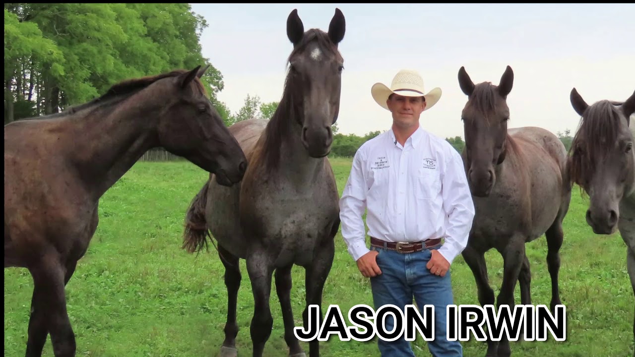 THE HORSE TRAINERS TV SHOW - JASON & BRONWYN IRWIN HORSEMANSHIP - YouTube