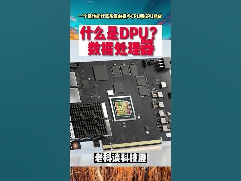 什么是DPU（数据处理器）？（CPU，GPU，DPU，DSP，MCU，SOC，NPU，系统讲解之DPU） - YouTube