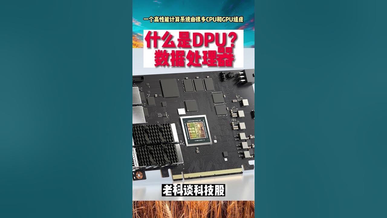 什么是DPU（数据处理器）？（CPU，GPU，DPU，DSP，MCU，SOC，NPU，系统讲解之DPU） - YouTube