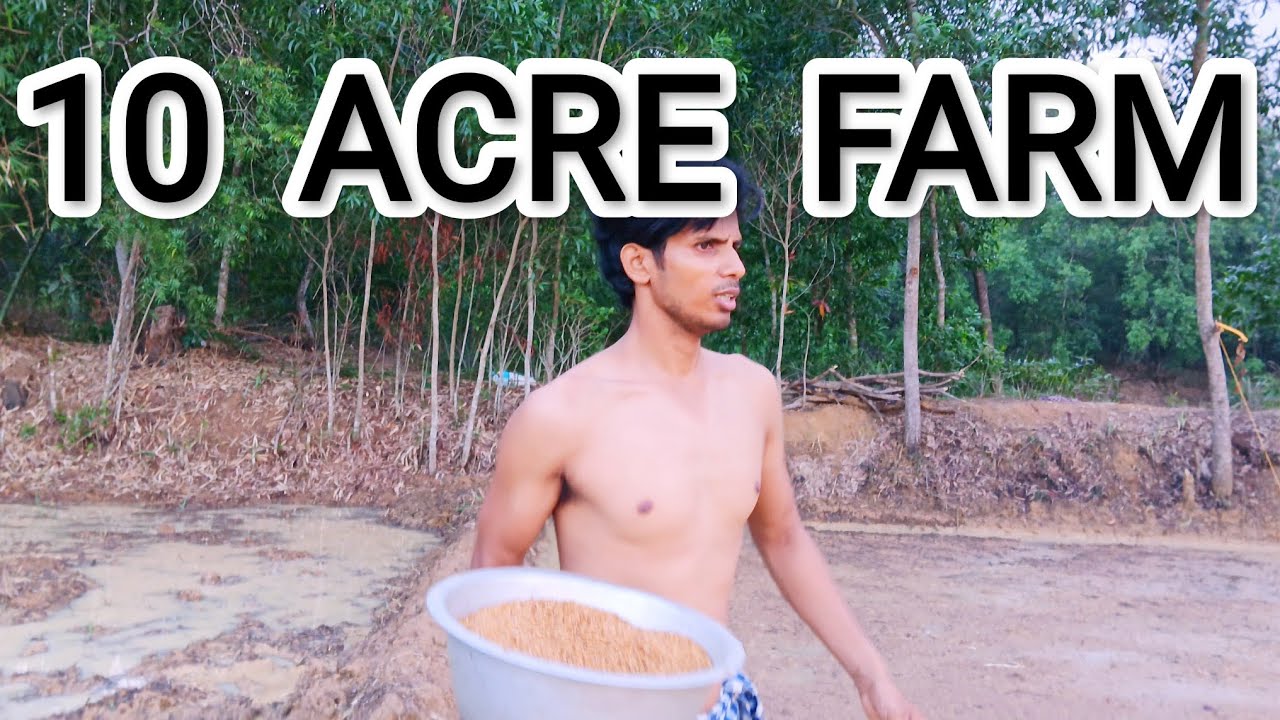 Finally Me Apna Farm pe Kheti Kiya💯||Dhana Chasa || Kheti Farm - YouTube