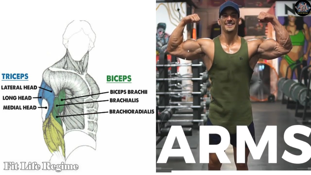 Biceps and Triceps Exercises | Full Arms Workout - YouTube