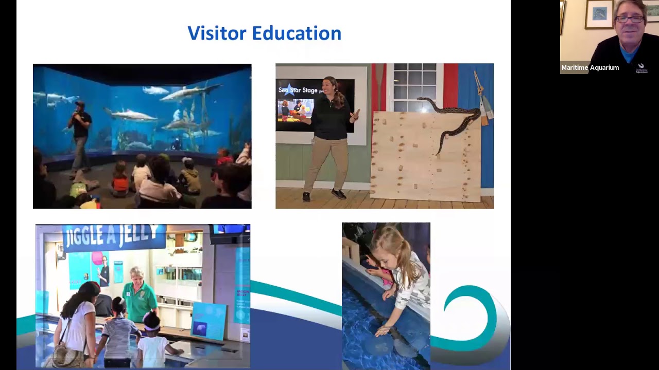 Lunchtime with The Maritime Aquarium: Distance Learning - YouTube