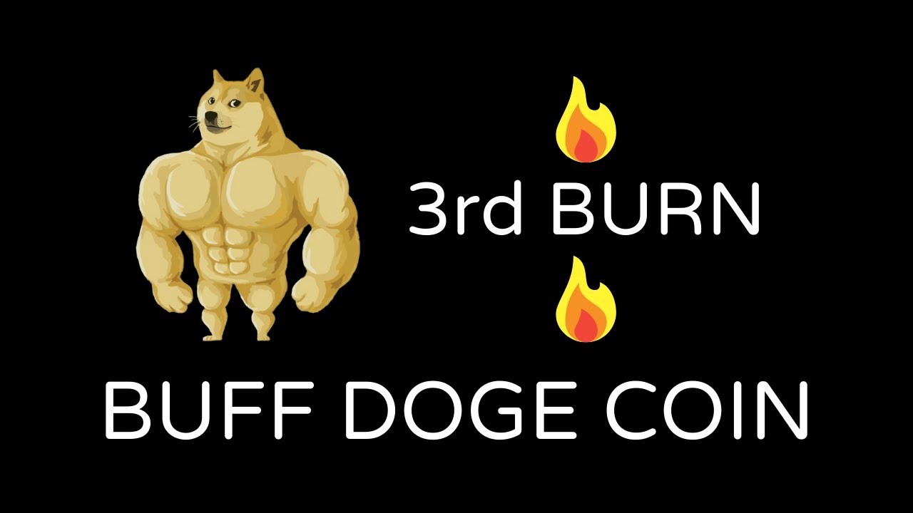 BUFF DOGE COIN Updates || 3rd Stage Token Burn ,, 100X GEM Don't Miss ...