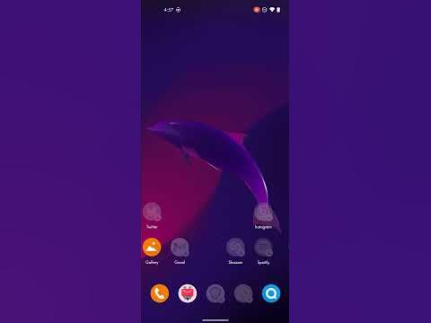 Feature: Dolphin Zone & Shark Zone - YouTube