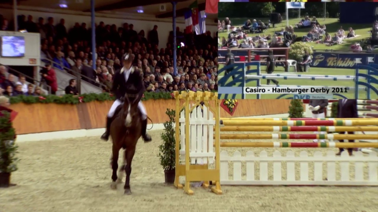 Casiro *2002 by Cassini I - Landgraf I (Stallion Show Sosath 2017 ...