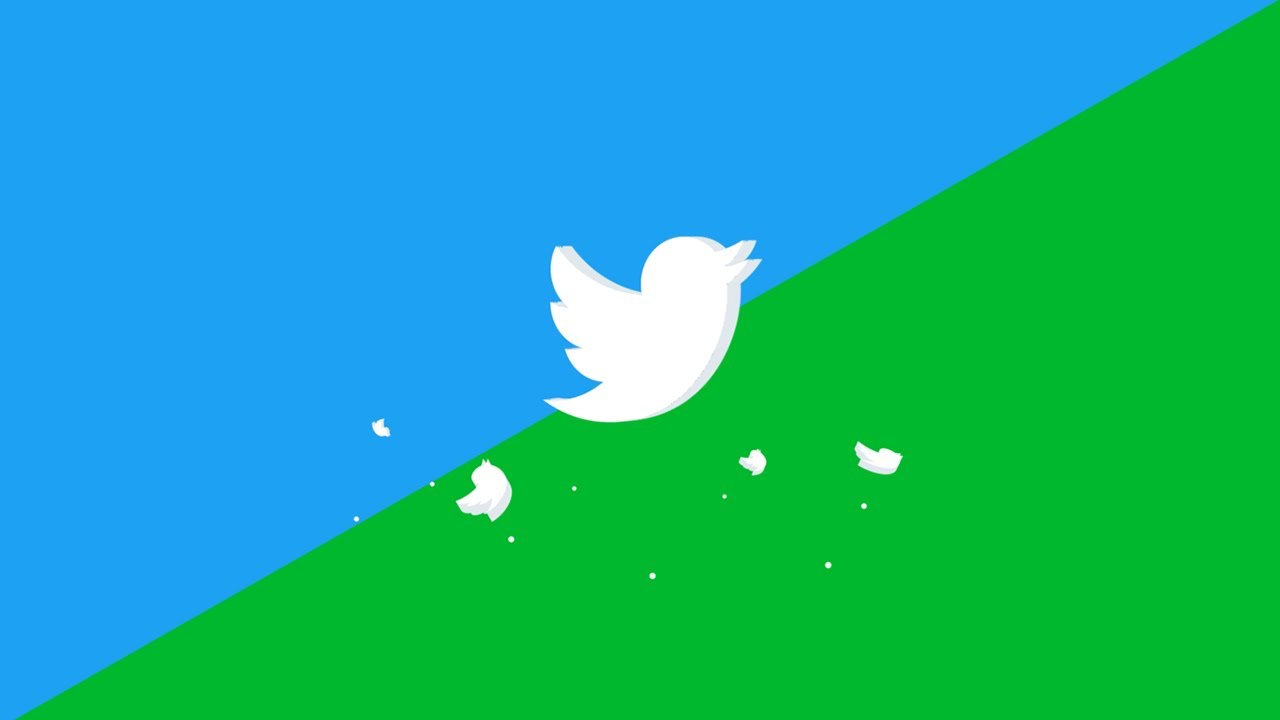 Twitter Logo Green Screen - YouTube