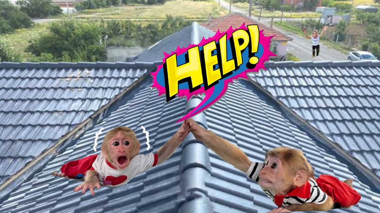 Madcap Action: Lucky Faces Death to Rescue Sunny! - YouTube
