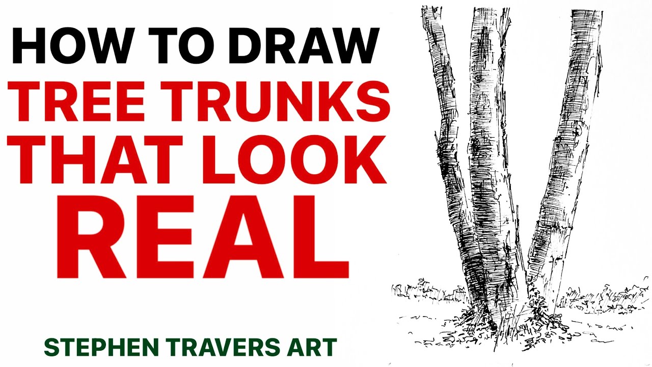 Are Tree Trunks a Drawing Weakness? - YouTube