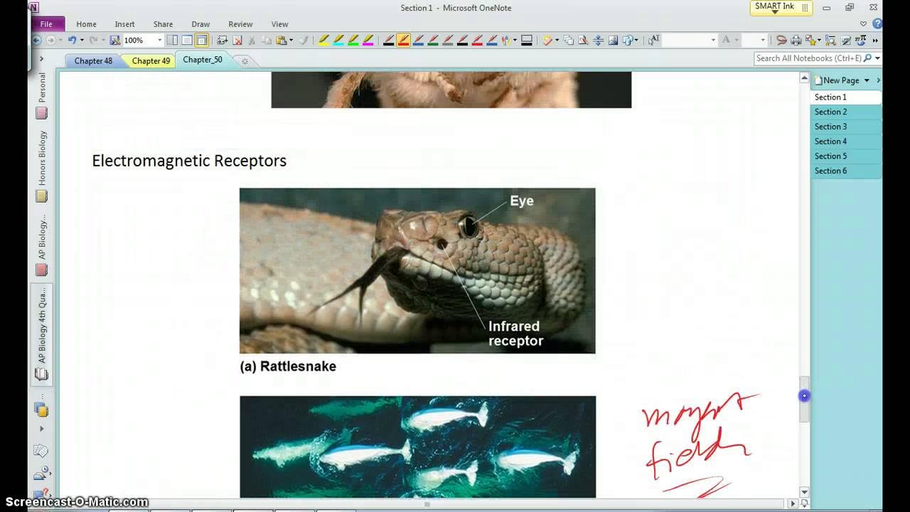 AP Bio - Chapter 50 Video 1 - YouTube