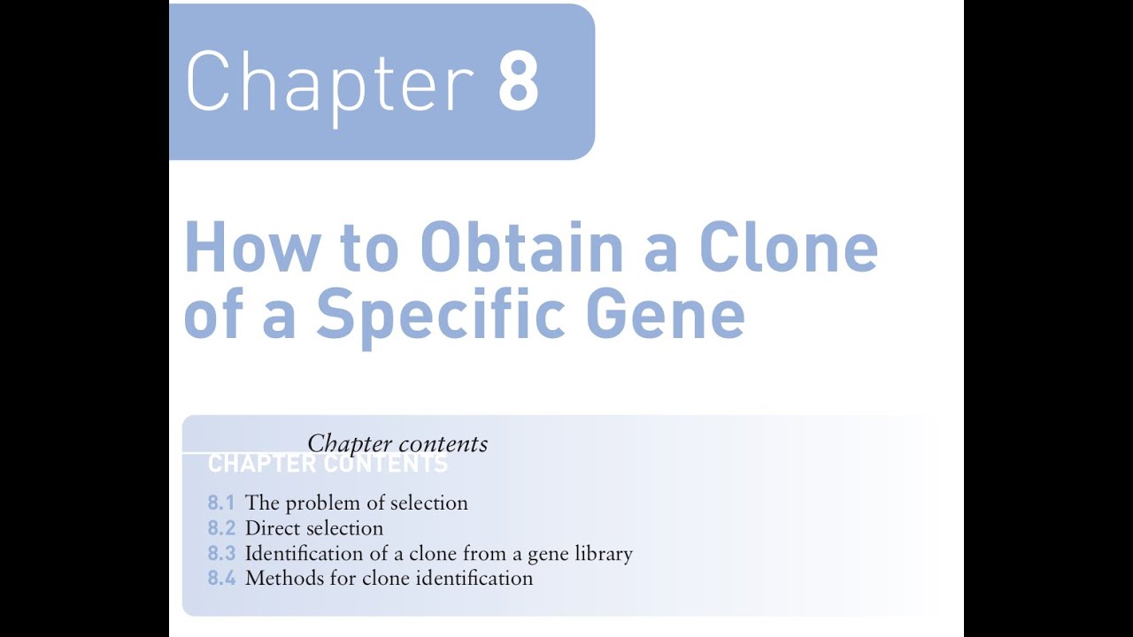 Chapter 8 - How to Obtain a Clone of a Specific Gene - YouTube