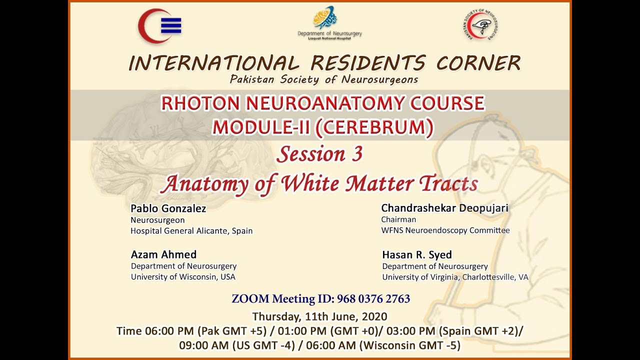 RHOTON NEUROANATOMY MODULE II - SESSION 3 - YouTube