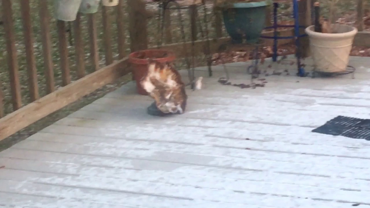 Its Kinda Cold Outside Youtube