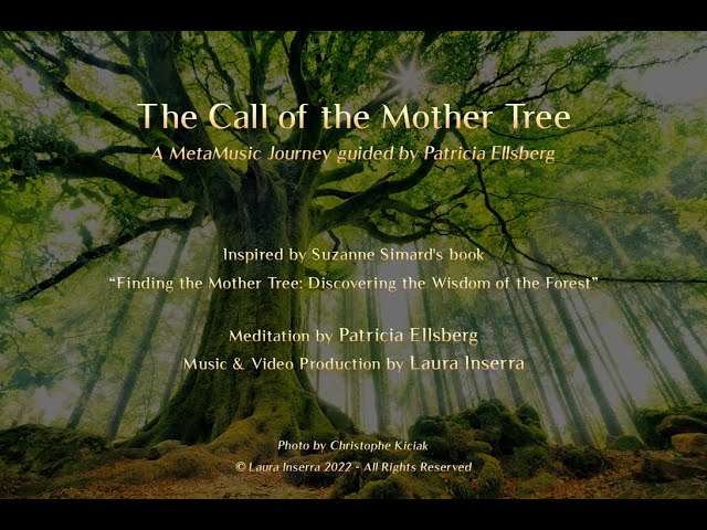 Mother Tree Quotes 60 Famous Earth Day Quotes About Saving The World