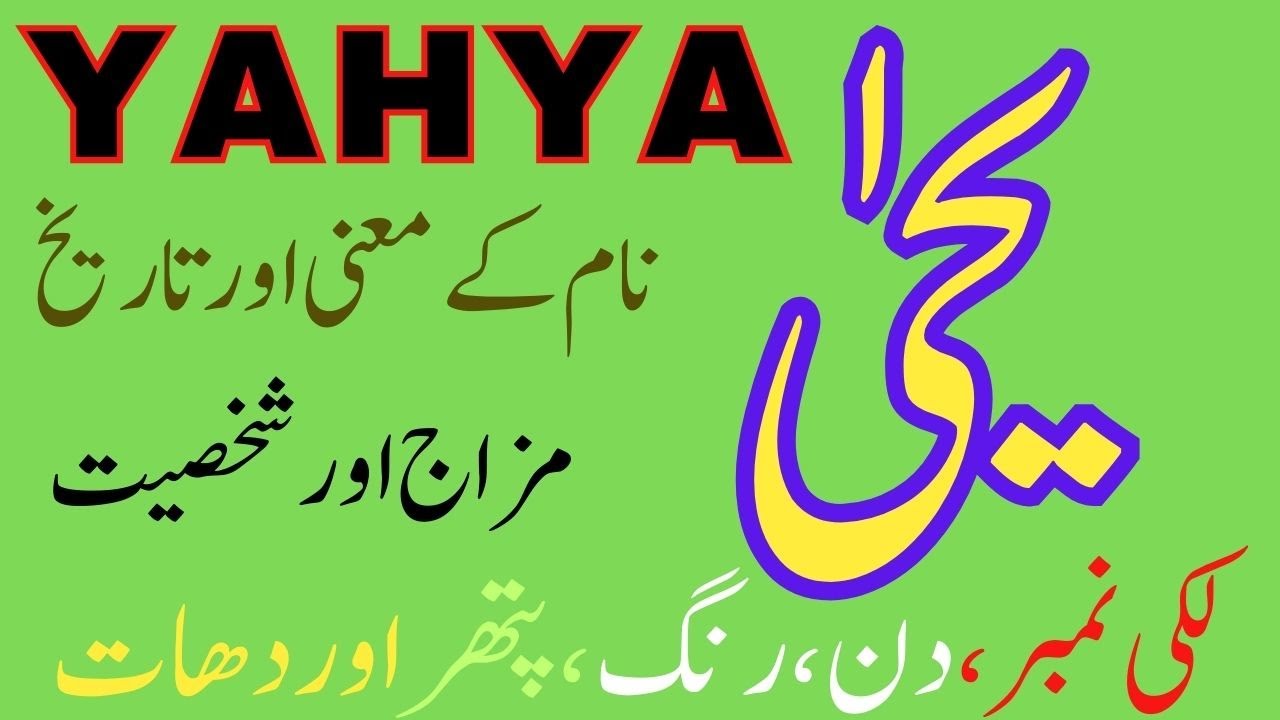 Yahya Name Meaning, Origin, Personality & Islamic Significance | یحی ...