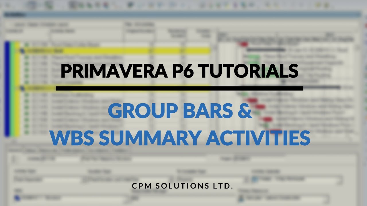 Primavera P6 Tutorial 6: What's The Deal with Groups Bars and How WBS ...