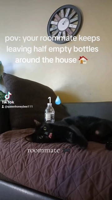 Roommate probs #funny #relatable #comedy #laugh #skit #pov #funnyvideos ...