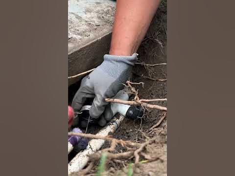 Fix a broken pipe #sprinklers #diy #doityourself - YouTube
