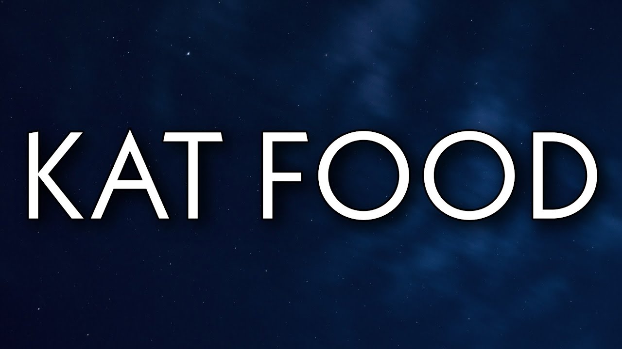 Lil Wayne - Kat Food (Lyrics) - YouTube