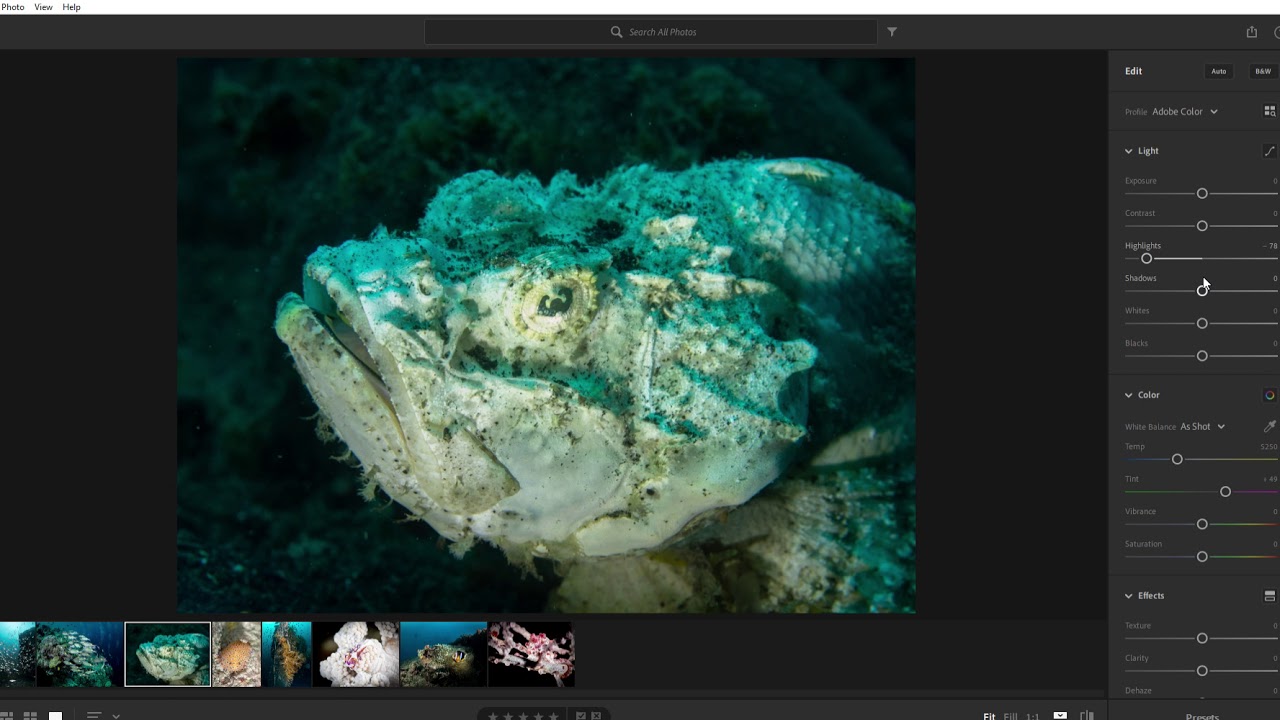 Post-Processing for Beginners: Basic Photoshop 4/7 - YouTube