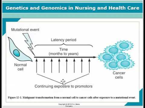 Chapter 12 Genetics of Cancer - YouTube