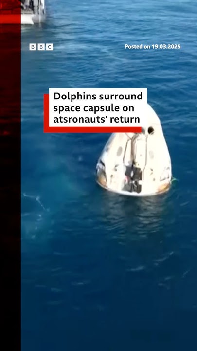 Dolphins surround astronauts' space capsule on return to Earth. #Space #BBCNews - YouTube