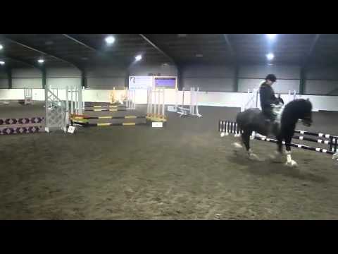 Traditional Cob Stallion First ever Clear Round Jumping - YouTube