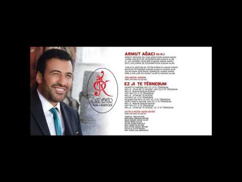 Zakir Zerel - Armut Ağacı