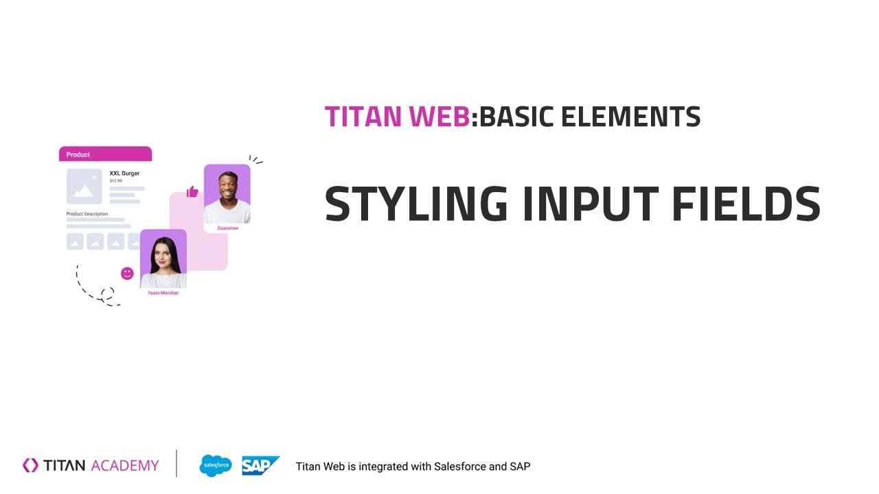 Alternative to Experience Cloud: Styling Input Fields with Titan Web ...