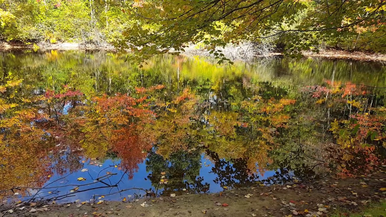 Minuteman trail, Lexington. MA - YouTube