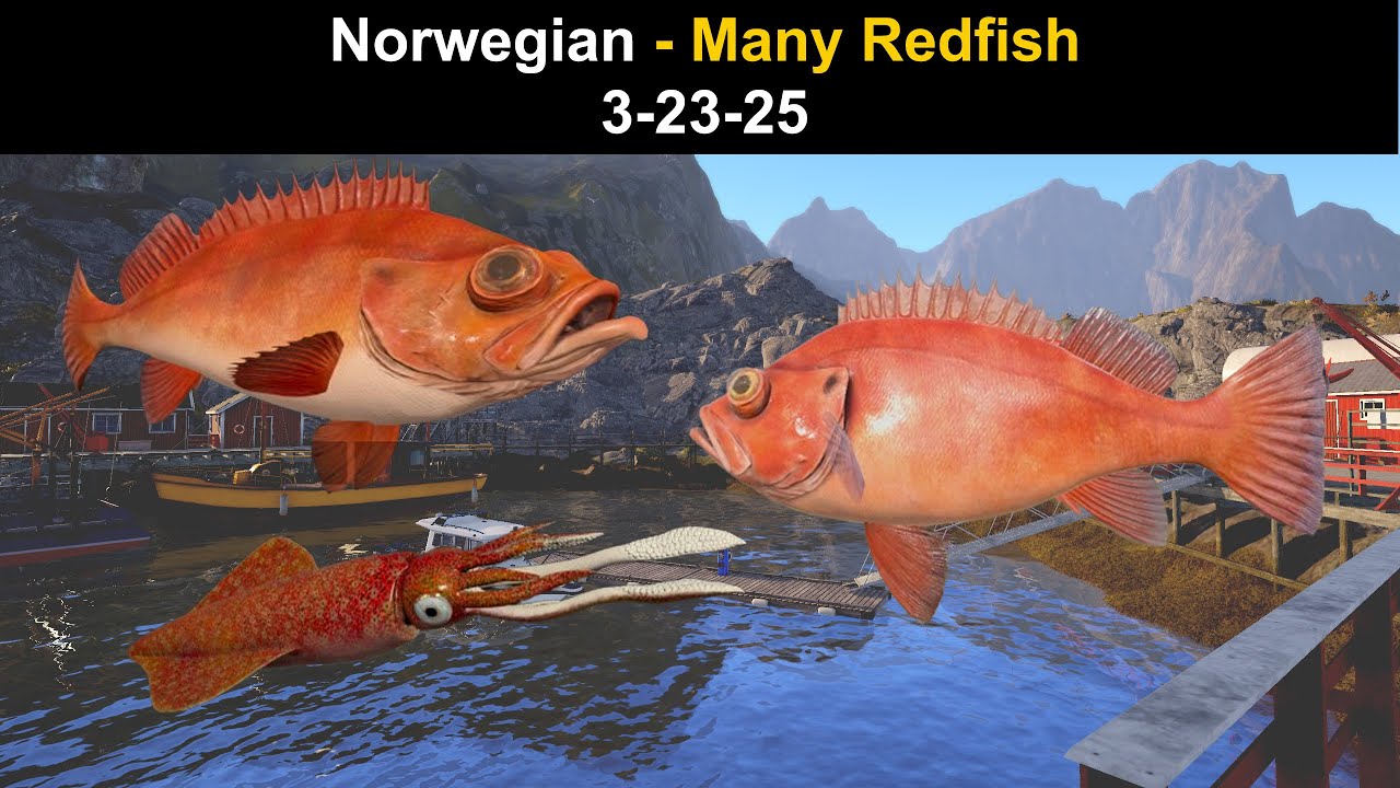 Russian Fishing 4, Norwegian - Many Redfish 3-23-25 - YouTube