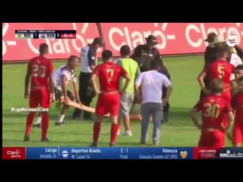 Sosyal medya bu olayı konuşuyor! Sahaya giren yılan korku dolu anlar yaşattı