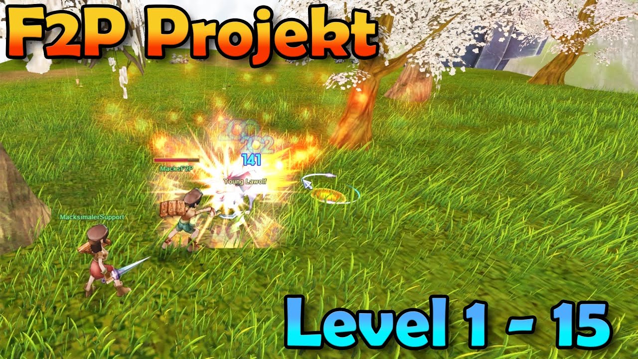 FlyFF Universe F2p Projekt | Level 1 - 15 | Der erste Vorfall [#1] - YouTube