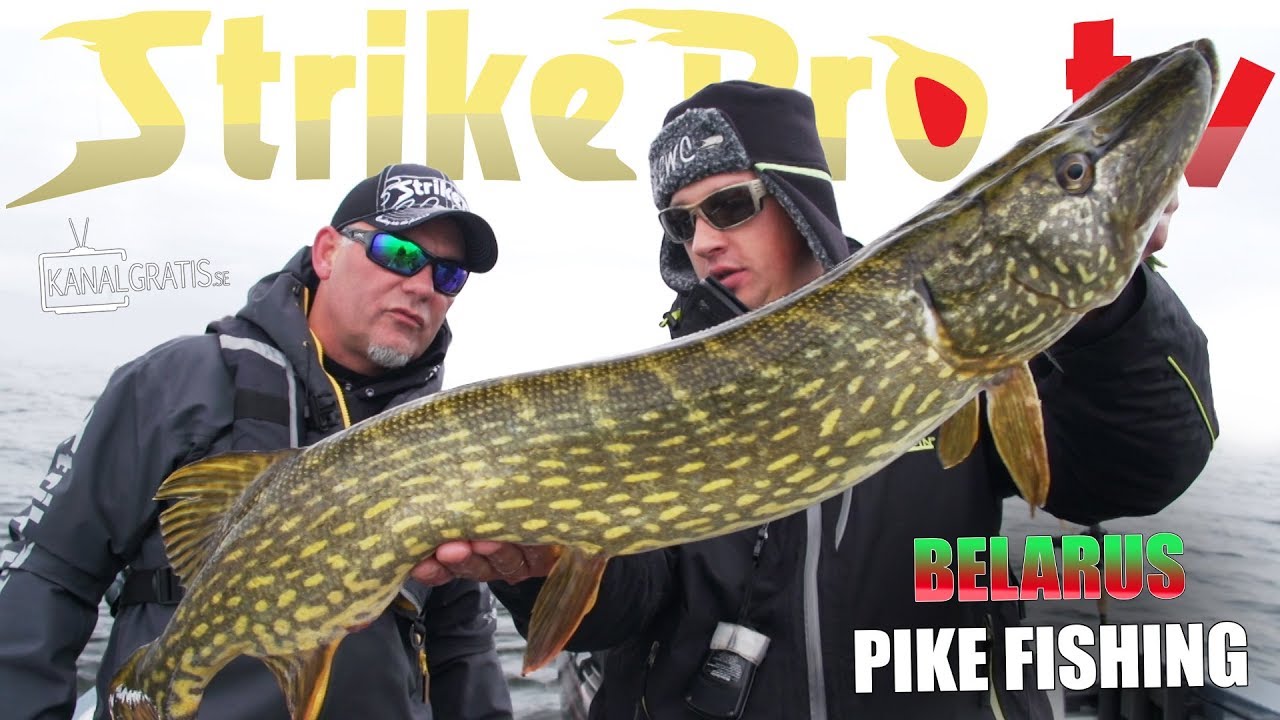 Strike Pro TV - Northern Pike Fishing in Belarus - YouTube