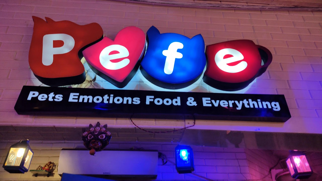 EAT AND CHILL WITH FURRY BALLS☕🍕🍟🍝🥤🐾🐶 ️ | CAFE PEFE | OHH MY DOG - YouTube