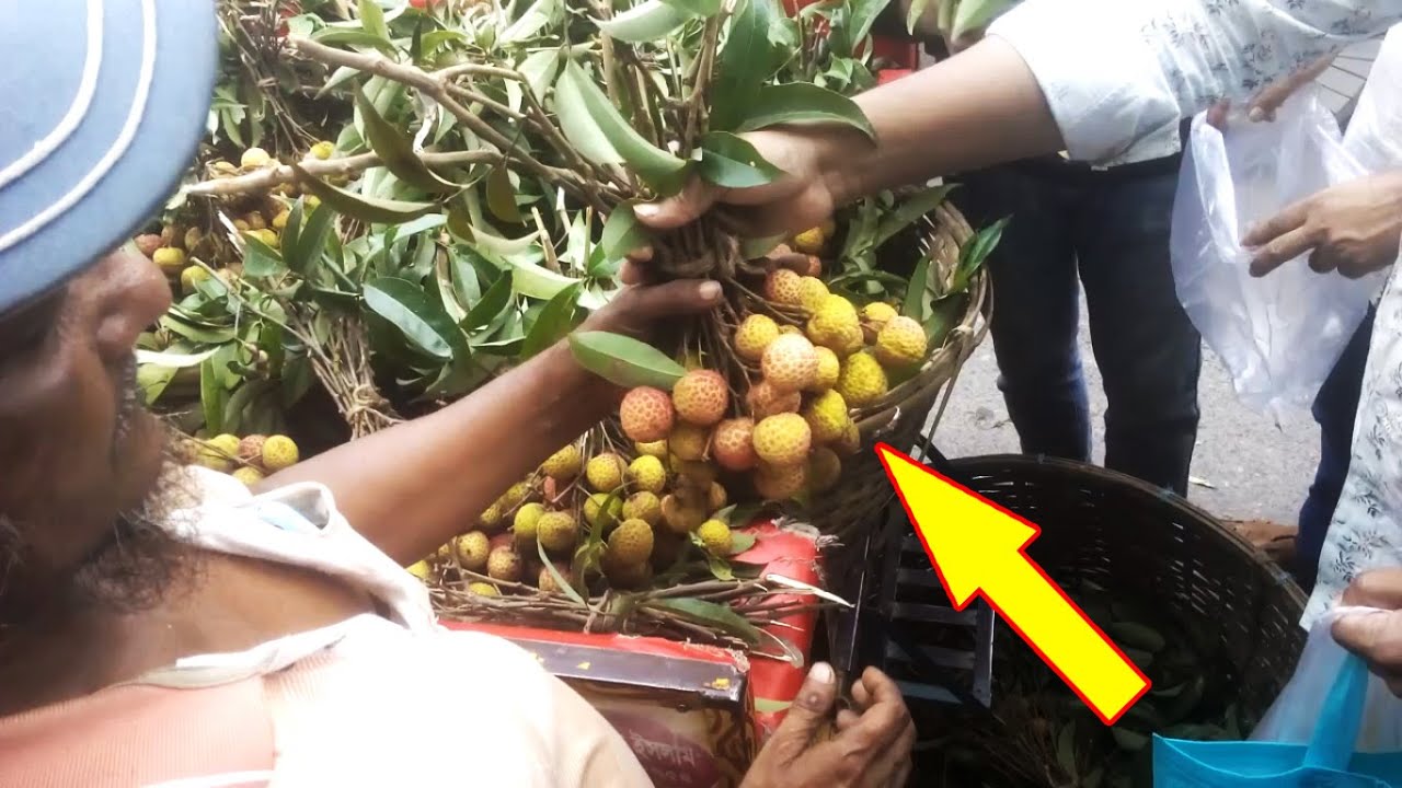 Most Famous & Testiest Seasonal Fruits Litchi-All Sold Out in Very ...
