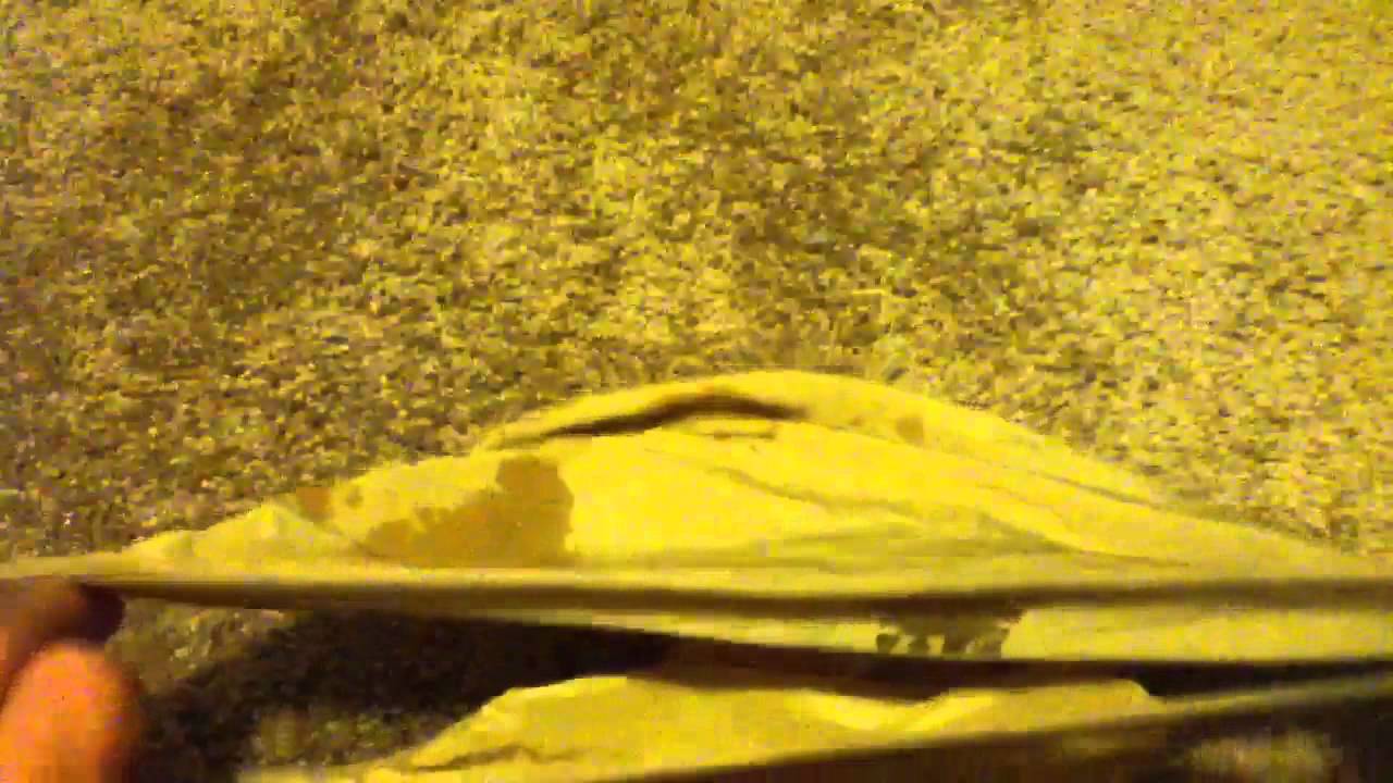 My Mom And Sisters Thongs And Panties Youtube
