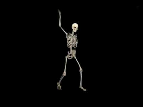Human Skeleton dance - YouTube