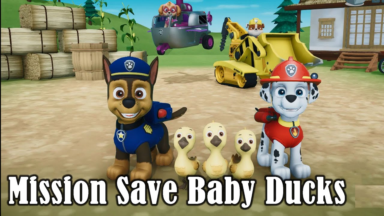 Mission Save the Baby Ducks - PAW Patrol - YouTube