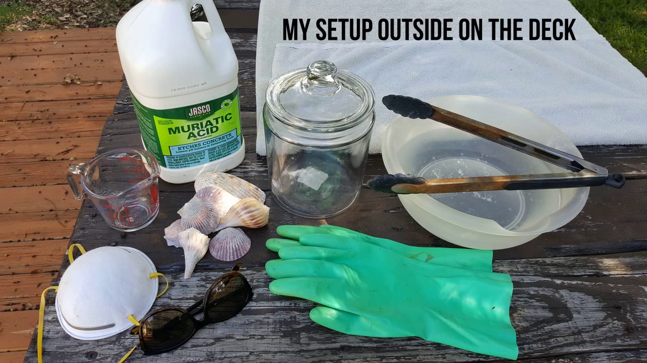 How to Transform Your Shells: Dipping Shells in Muriatic Acid - YouTube