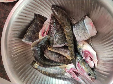 Goroi Maas Pura Pitika | (smoked fish mash)| - YouTube