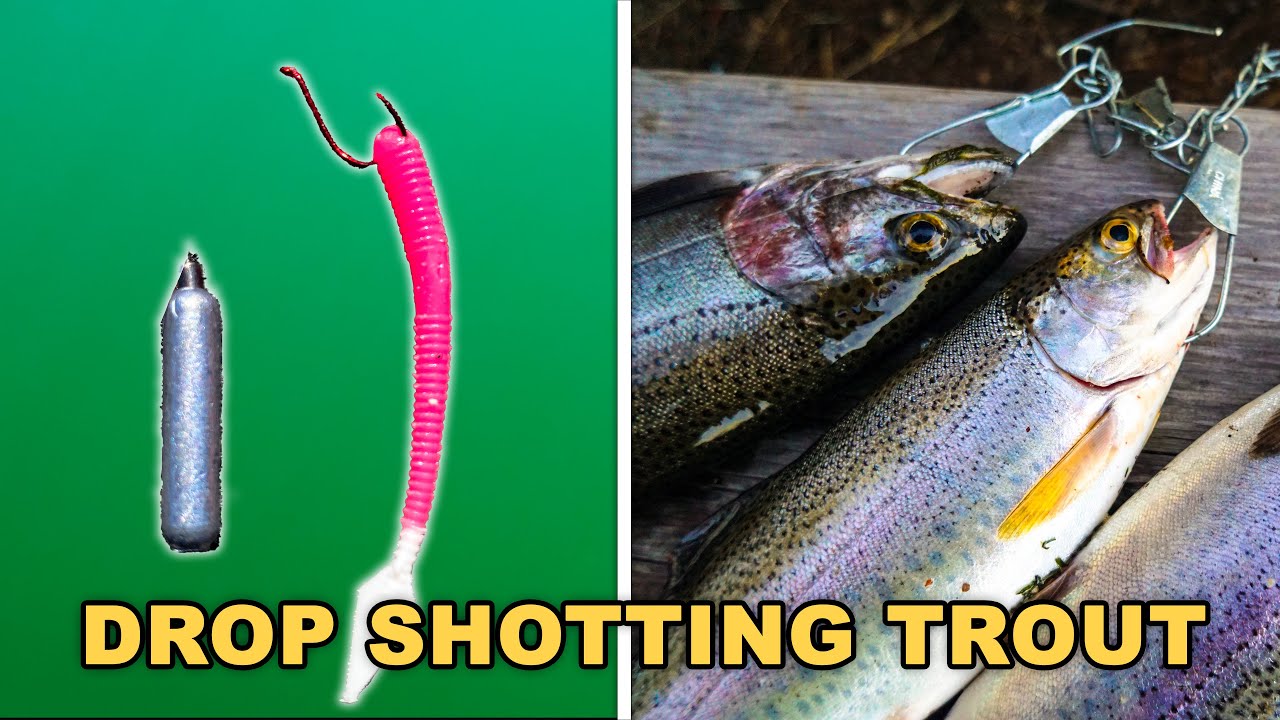How To Drop Shot For Trout - In Depth Trout Fishing How To - YouTube